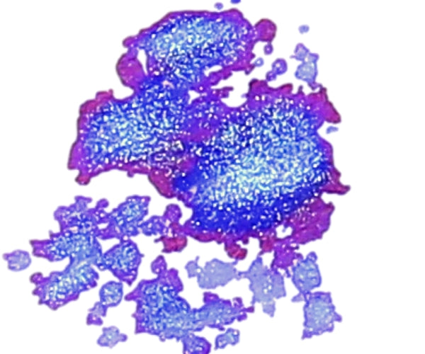 Colorverse Cat Glistening Fountain Pen Ink – Fountain Pen Revolution