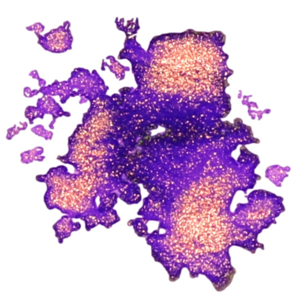 Colorverse Hayabusa Glistening Fountain Pen Ink – Fountain Pen Revolution