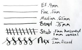 #6 Steel FPR Nibs and Nib Units – Fountain Pen Revolution